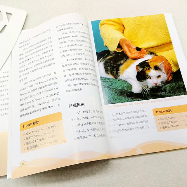 Genuine TTouch magical hairy child massage technique for cats ...