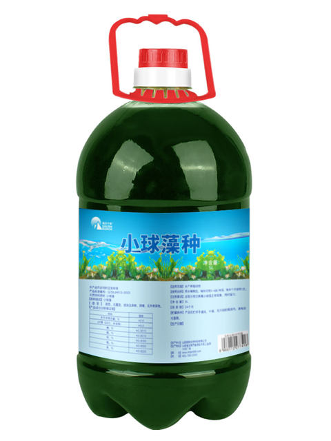 Chlorella algae concentrated compound diatom seed aquaculture fish pond ...