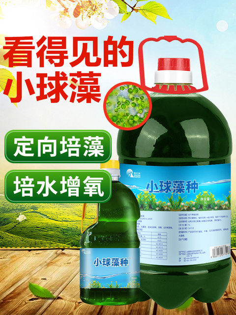 Chlorella algae concentrated compound diatom seed aquaculture fish pond ...