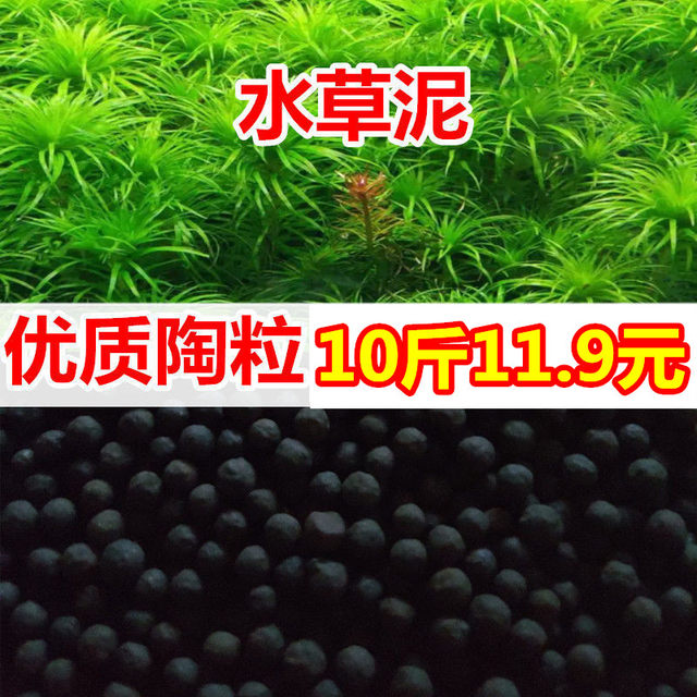 Water grass mud bottom sand fish tank landscaping sand ceramsite base ...