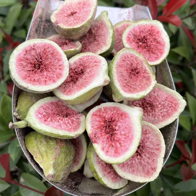 Internet celebrity ins forest cake decoration dried fruit ornaments ...