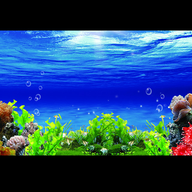 Fish Tank Wallpaper Underwater World Fish Tank Background HD Customized ...