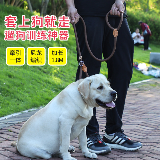 Dog P leash explosion-proof dog leash training dog P chain small medium ...