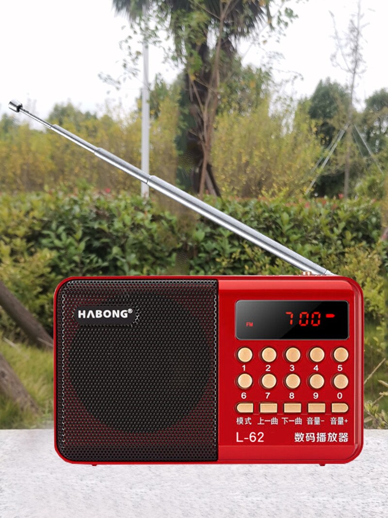 Habong L-62 휴대용 라디오 with TF 카드 & USB 재생