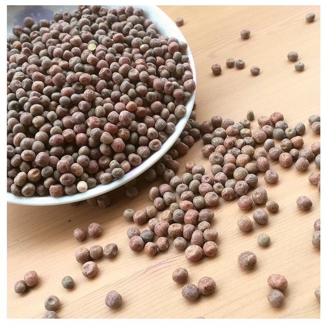 New products of pea seedlings are self-planted and hydroponiced by ...