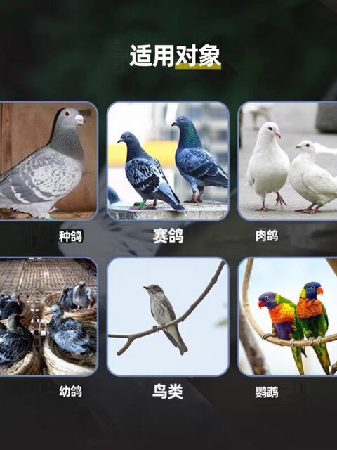 A comprehensive collection of health care products for pigeons and ...