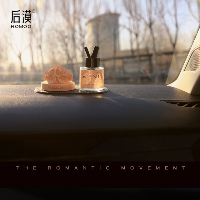 Homoo advanced car aromatherapy hydrangea ornaments home diffuser stone ...