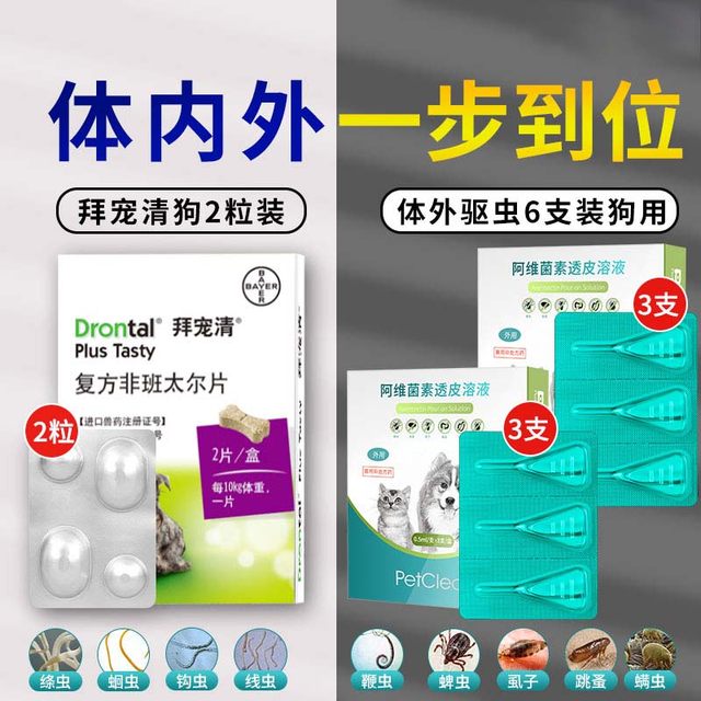 Bayer Dog worshiping the inner body and the inner body of the body of ...