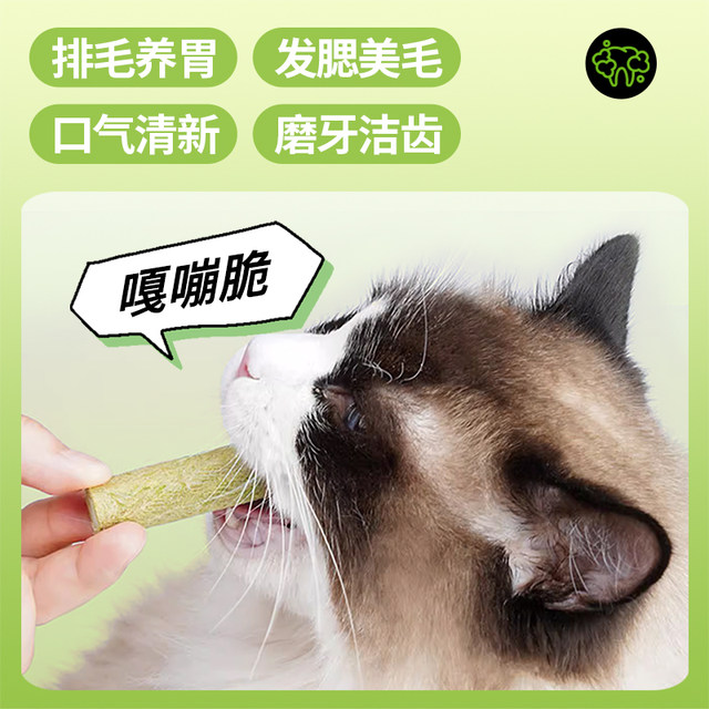 Pretty Belle cat grass sticks freeze-dried cat snacks teething sticks ...