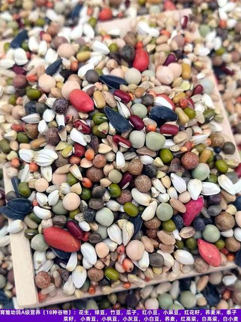 Pigeon food nutrition racing flying pigeon feed bird food carrier ...