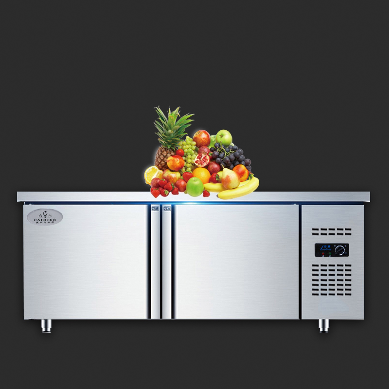 Royal Caidier 201 Stainless Steel Refrigerator - 200L Commercial ...