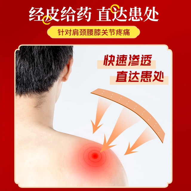 Modified musk bone-strengthening analgesic plaster rheumatic joint anti ...