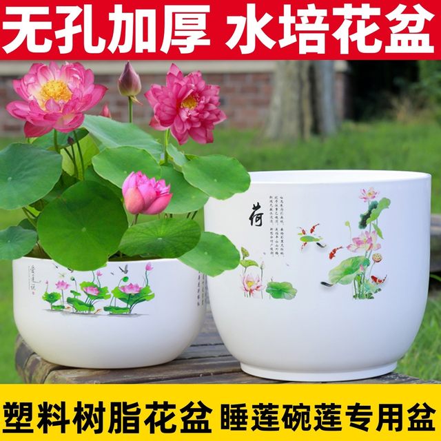 Large imitation ceramic resin thickened non -perforated sleeping lotus ...
