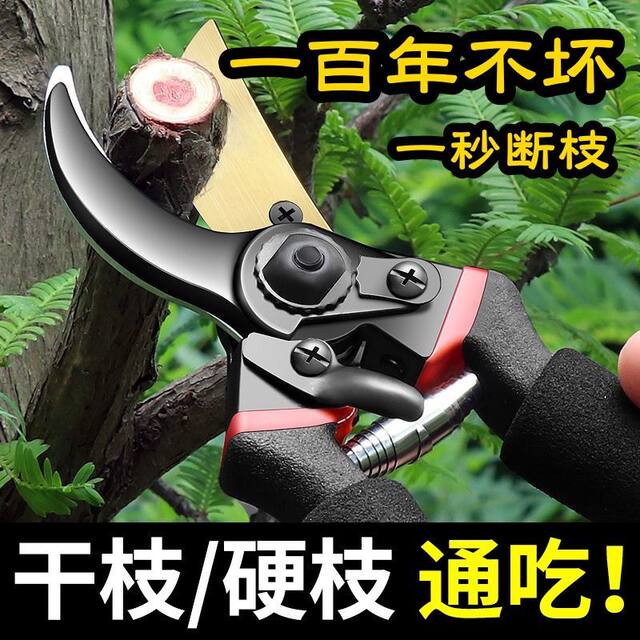Original Japanese sk5 imported large scissors, large powerful pruning ...