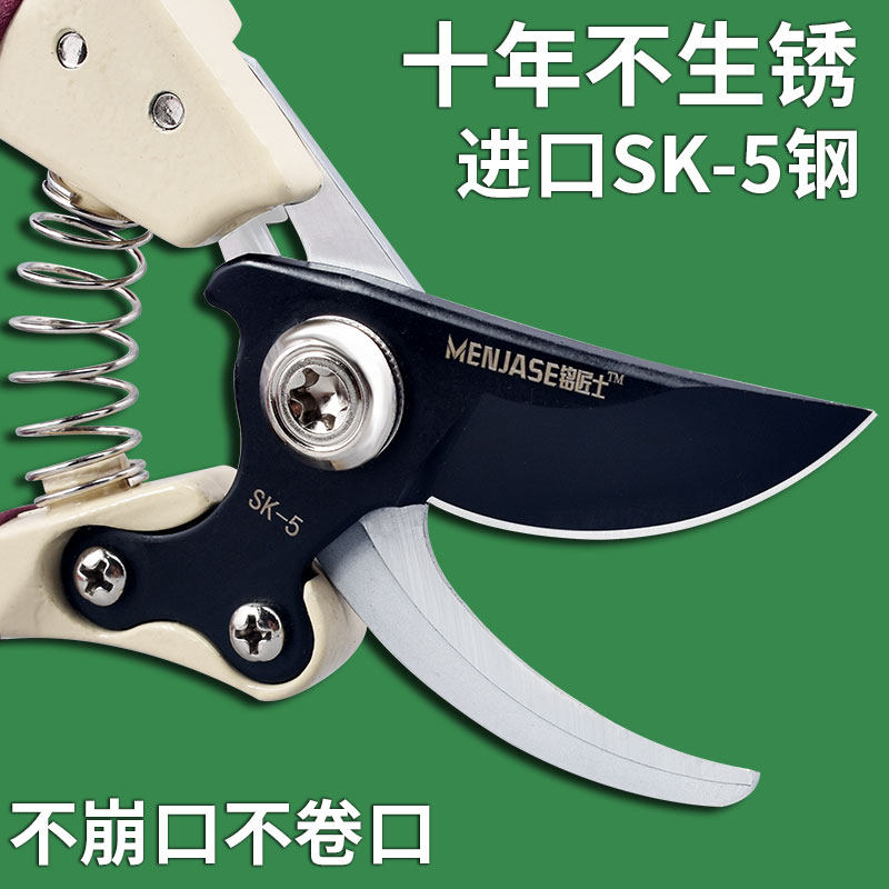 Powerful Branch Scissors for Pruning Thick Tree Branches and Flowers