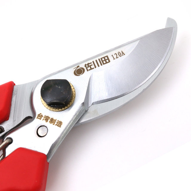 Sagawada Taiwan 120 branch pruning scissors fruit branch scissors ...