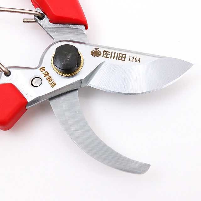 Sagawada Taiwan 120 branch pruning scissors fruit branch scissors ...