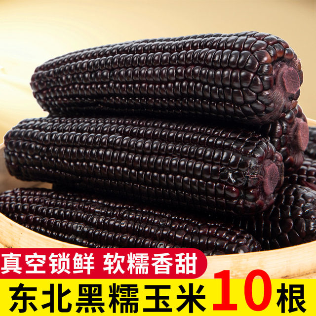 Northeast black waxy corn vacuum packed 10 fresh sweet waxy corn cobs ...