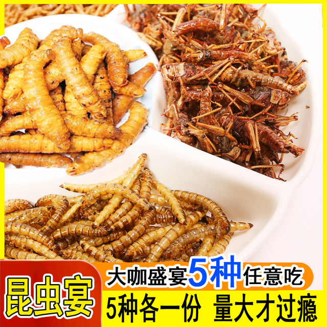 Fried insects, grasshoppers, ready-to-eat silkworm pupae, fresh locusts ...