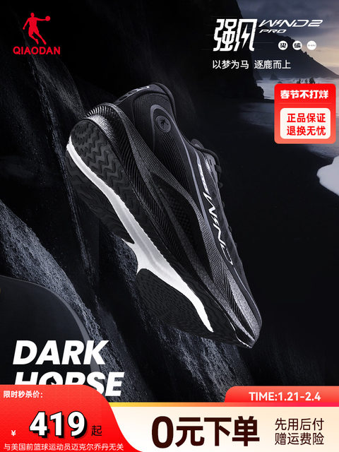 Strong Wind 2.0Pro Jordan Professional Marathon Running Shoes Full Palm ...
