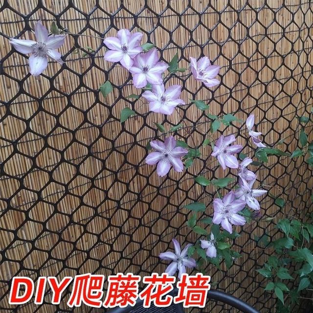 Rose flower wall frame grid plant climbing frame climbing rattan net ...