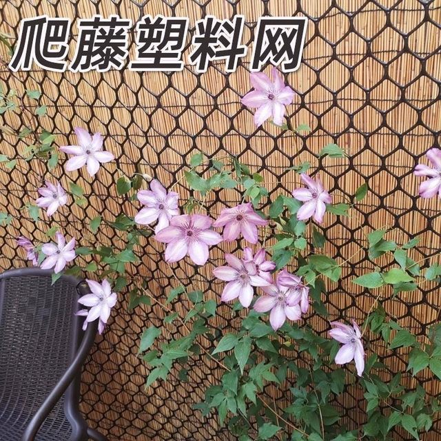 Rose flower wall frame grid plant climbing frame climbing rattan net ...