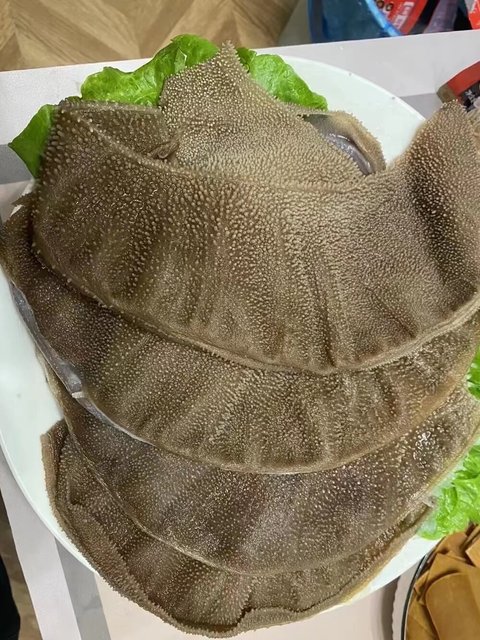Grade a Large Fresh Beef Tripe 2.5kg Pieces, Fresh Beef Tripe for ...