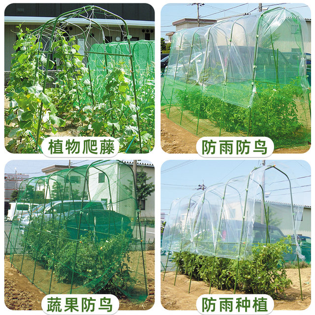 Cucumber climbing vine rack gardening vegetable support plant vine rack ...