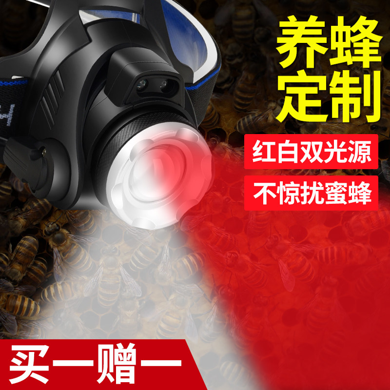 Inductive Red Light Headlight for Beekeeping | Head-Mounted Flashlight ...