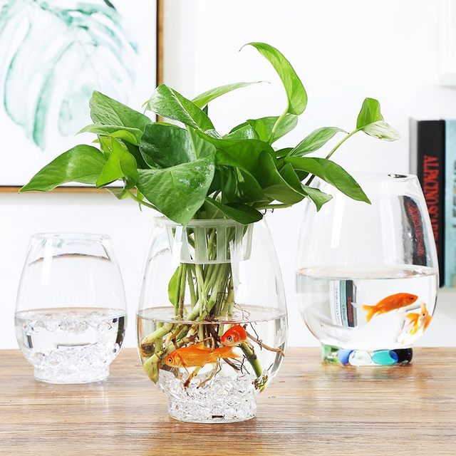 Large transparent glass vase flower arrangement hydroponic dinosaur egg ...