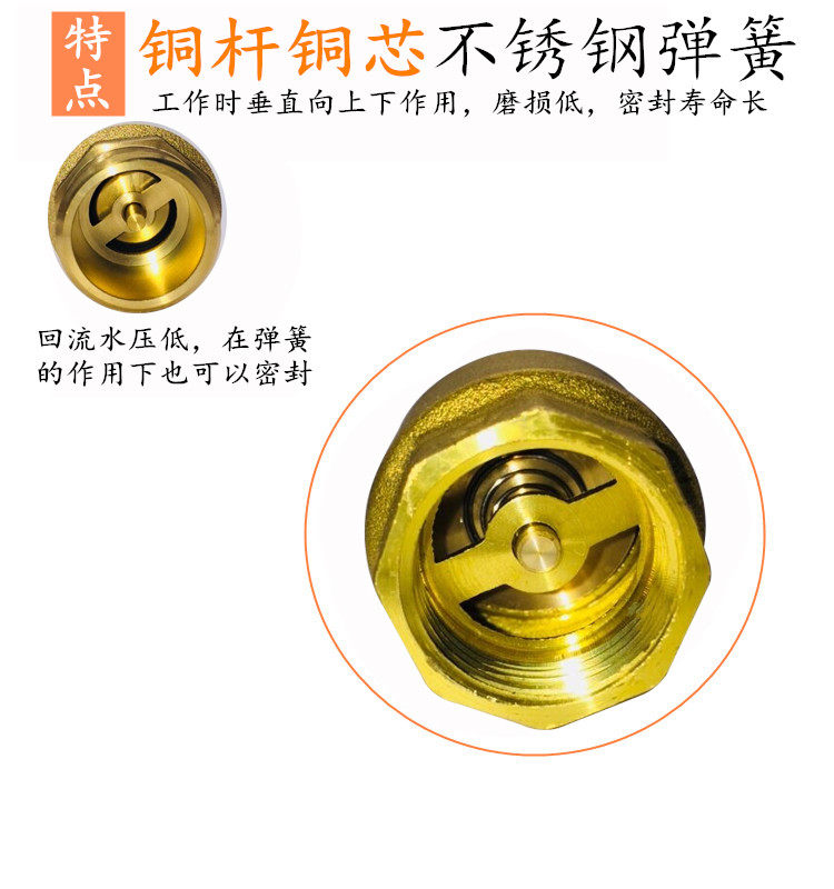 Brass spring vertical one-way valve water pipe 4-point check