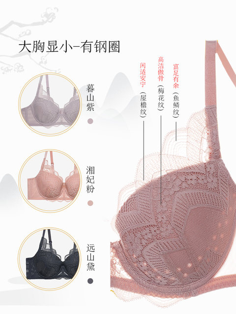 Aimu Lingerie for Women with Large Busts, Makes Them Appear Smaller ...