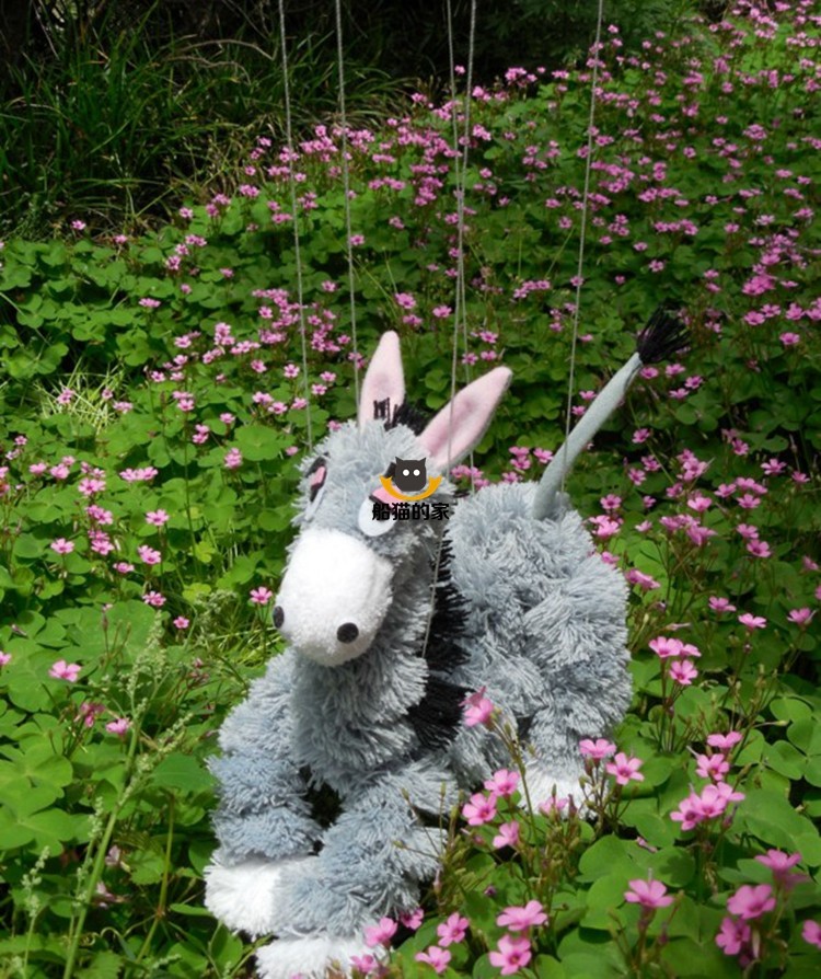 Handsome donkey and pig kindergarten activity | EBUY7 Donkey Pig ...