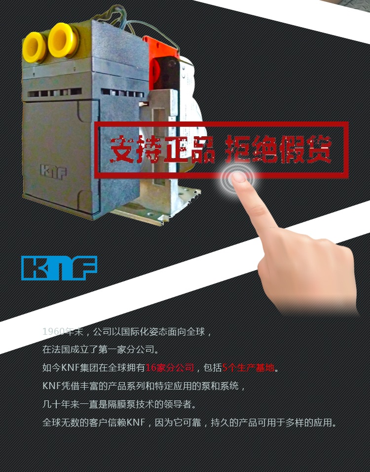 Pompe d'échantillonnage - N86kte d'origine | Knf