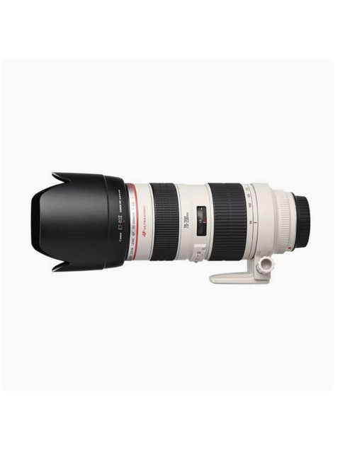 Canon/Canon 70-200 2.8 F4 IS Little White Rabbit Anti-Shake Telephoto ...
