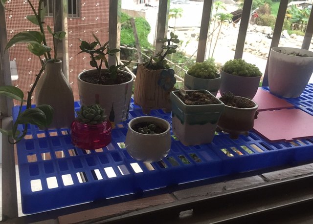 KFC pallet rack pad floor mat moisture-proof pad 10cm non-slip ...