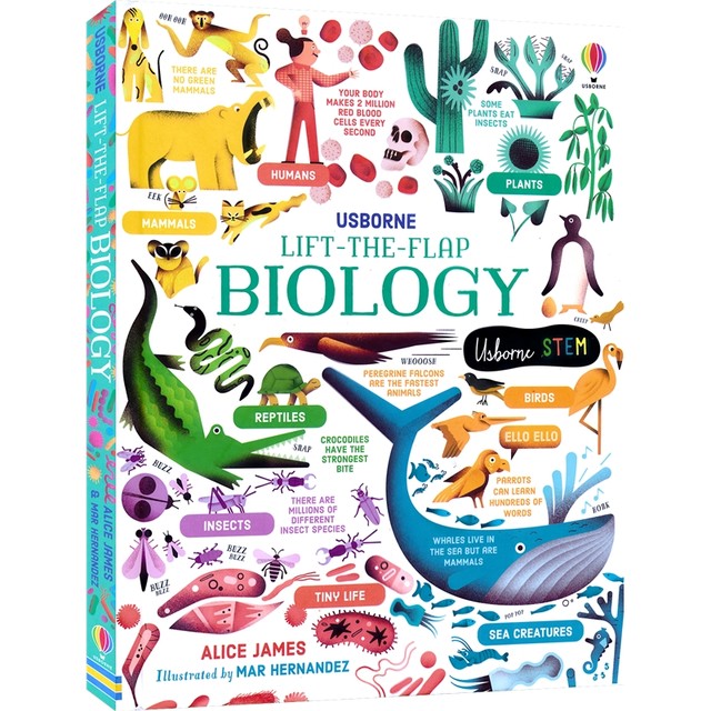 UsborneLift-the-flap Usborne Science Flip Book Biology Computer ...