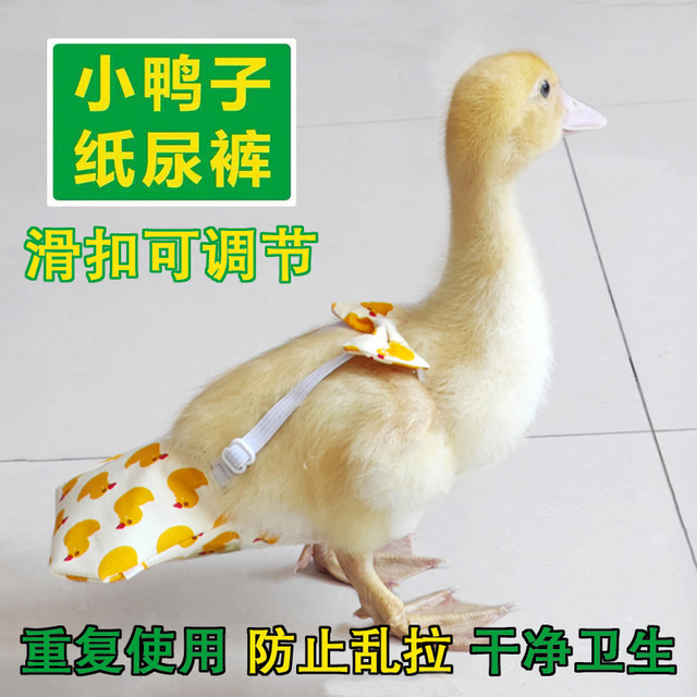 Little duck poop diaper, butt pocket, duck diaper, poop pocket, poop ...