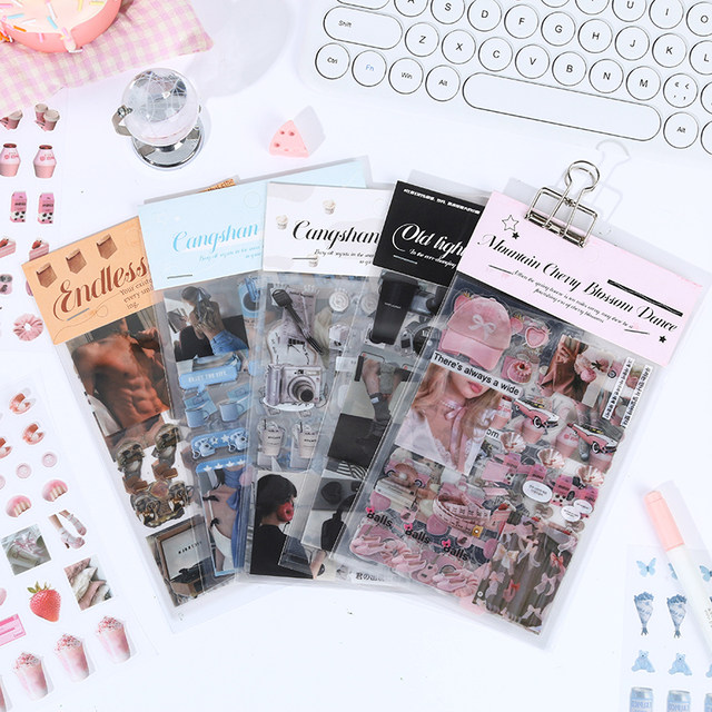 pet manual sticker transparent ins style Korean manual blue decoration ...