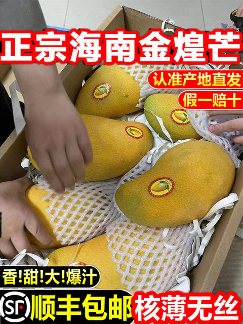 SF Express Hainan Jinhuang Mango 10Jin [Jin equals 0.5 kg] Gift box ...