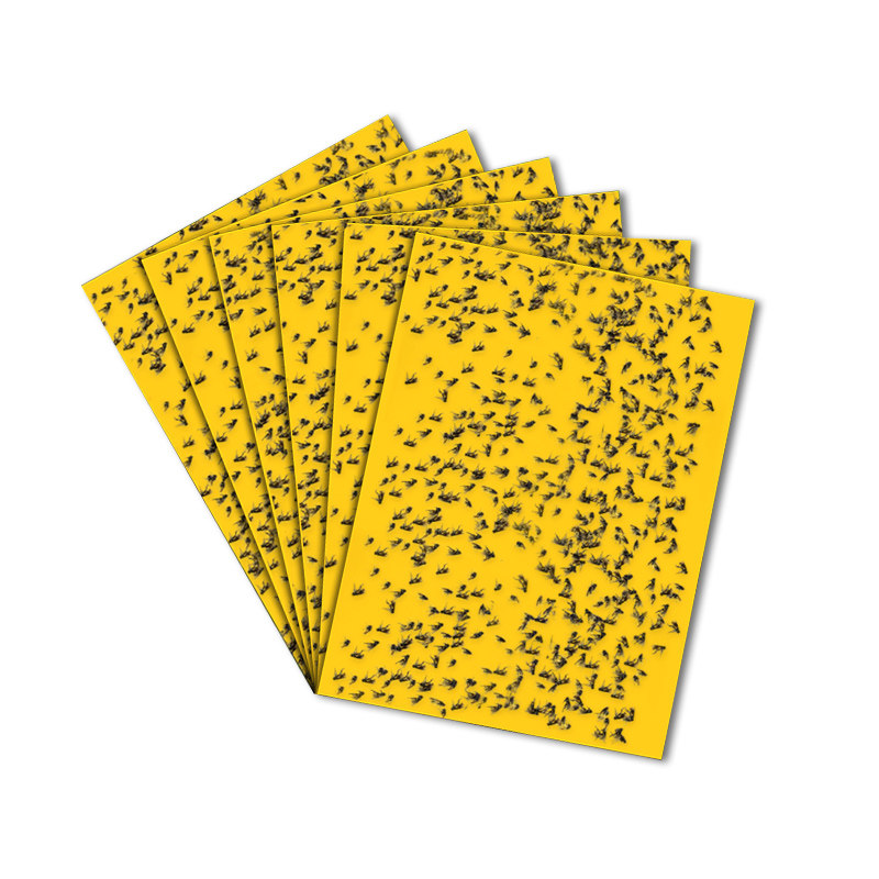 Sticky Insect Board - Greenhouse Black Fly Trap Insect Trap Sticker