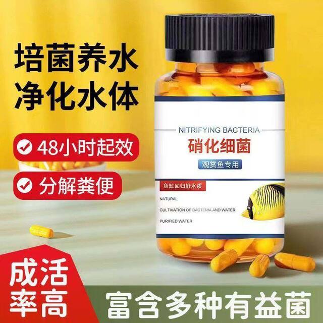 Nitrifying bacteria fish tank special water purification digestive ...