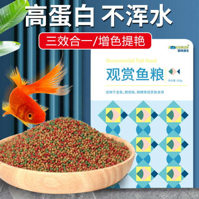 Fish Grain Goldfish Feed Watching Fish Koi Fish Fish Fish Fish Fish ...