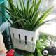 Fish tank hydroponic planting basket, water grass cup, plant fixed ...