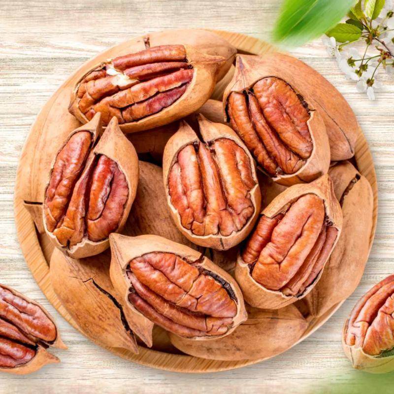 New Arrival Pecan 500g Creamy Longevity Fruit Dried Pecan Nuts Roasted Seeds Snacks