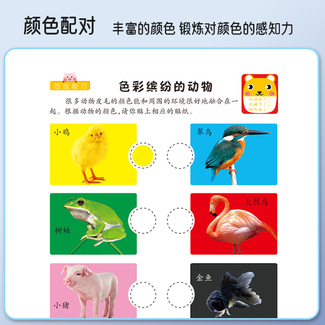 Focus sticker book early education puzzle whole brain development ...