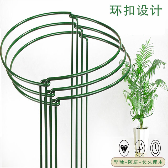 Rose climbing vine frame plant flower bracket semicircular flower frame ...