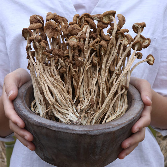 250g Kuivatatud Teepuu Seened - Fujiani Provintsi Talumaja Eri Shiitake