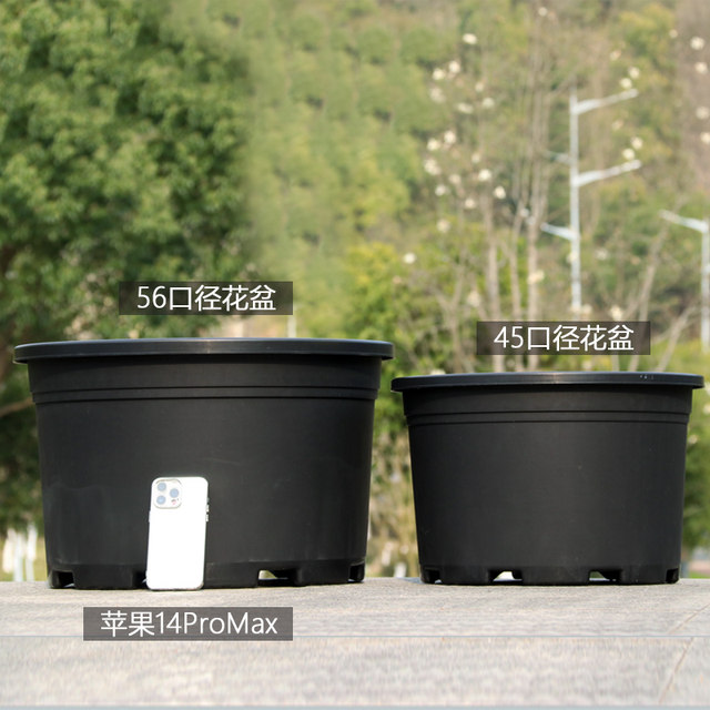 Extra-large flower pot large-caliber black currant potted flower pot ...