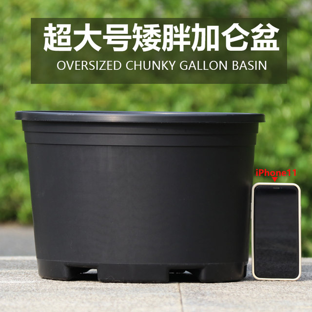 Extra large flower pot, large diameter black currant potted flower pot ...